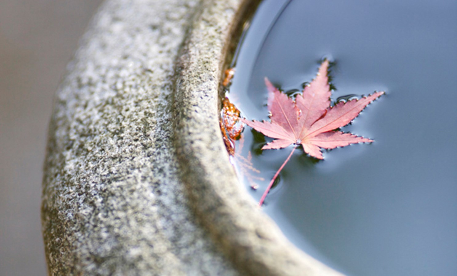Musing upon the Japanese art of wabi-sabi‏ - Ampersand Travel