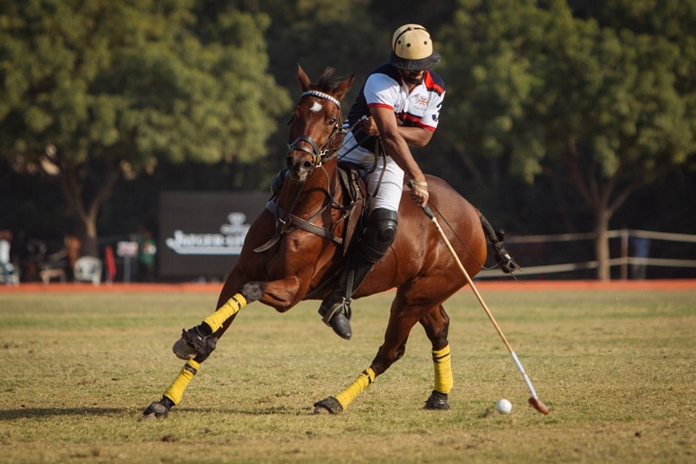 Polo and Peacocks: British Polo Day in Jodhpur - Ampersand Travel