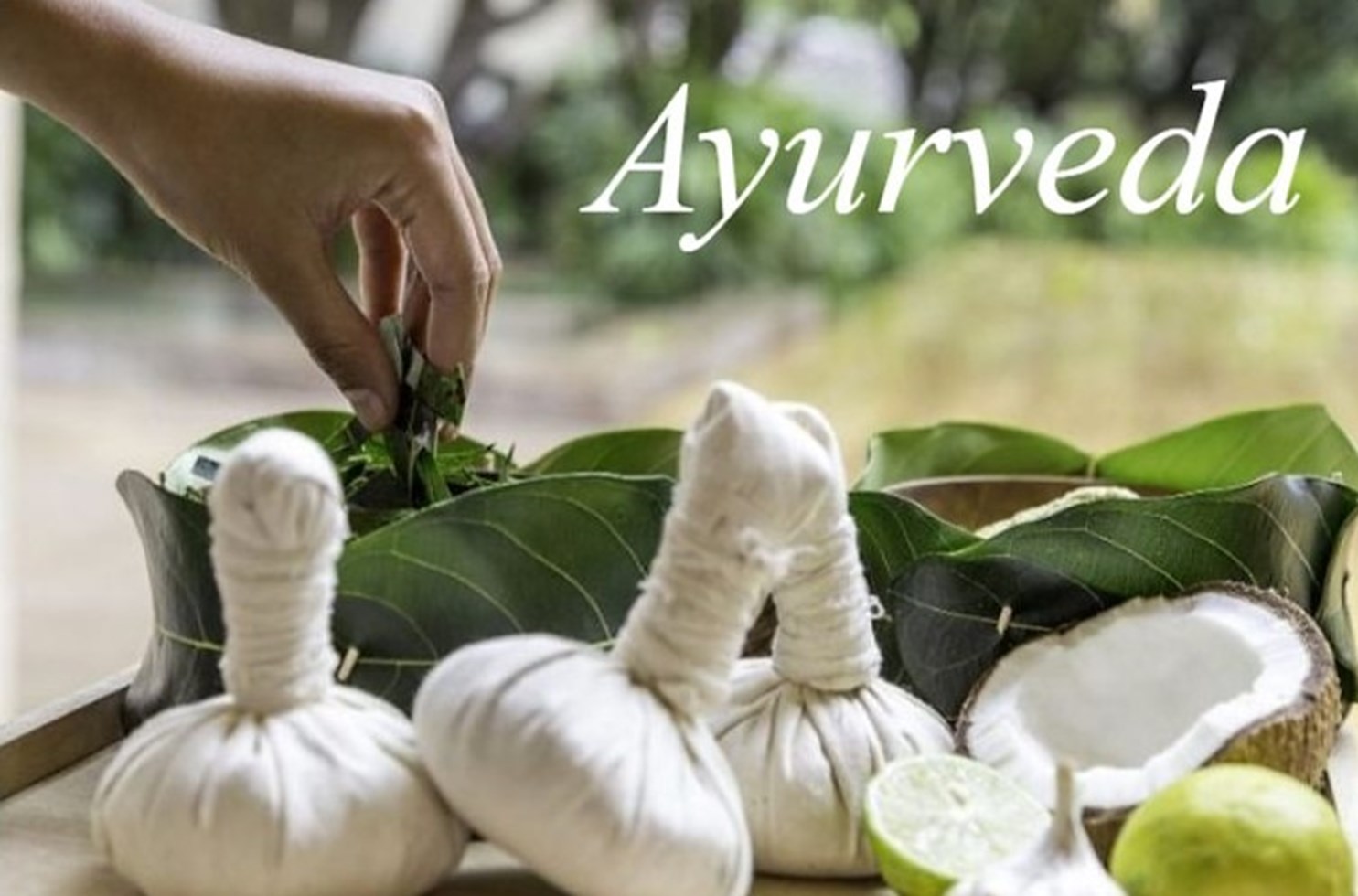 An Ayurveda Retreat in India - A Healing Land | Ampersand Travel Blog